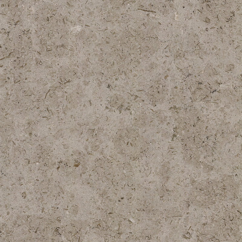 Sinai Pearl Egypt Grey Marble Cream Pearl Marble